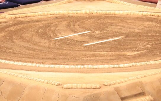 Private Sumo Stable Visit: Where Spirit Is Shaped in The Ring. - Nihon ...